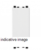 6A 1 Module 2 Way Switch White IN8402 - Electrical and Networking ...