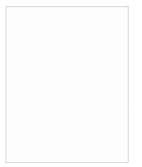 12 mm 8' X 4' Off White 118 Densified Interior Range Both Side ...